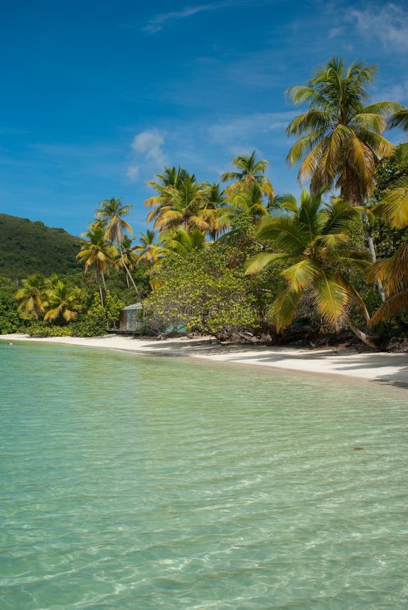 Cinnamon Bay - St John stock image. Image of forest, caribbean - 12070177