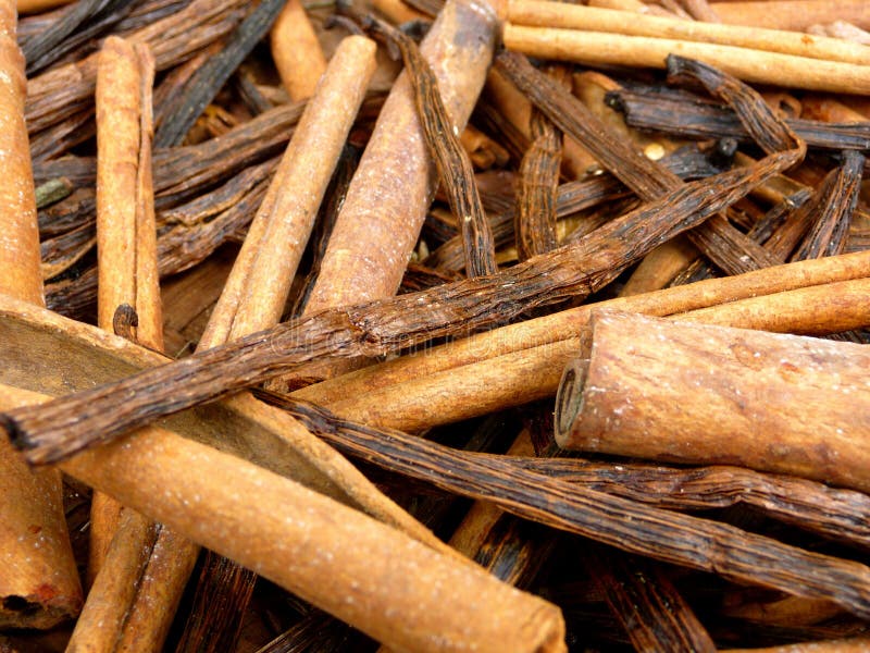Cinnamon stock photo. Image of cinnamon, asia, food, ingredient - 55653984