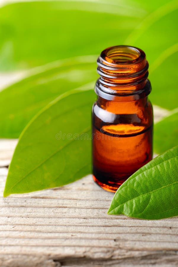 Cinnamon Leaf Essential Oil and Fresh Cinnamon Leaves on the Wooden ...