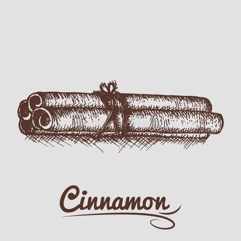 Cinnamon Drawing Stock Illustrations – 4,547 Cinnamon Drawing Stock ...