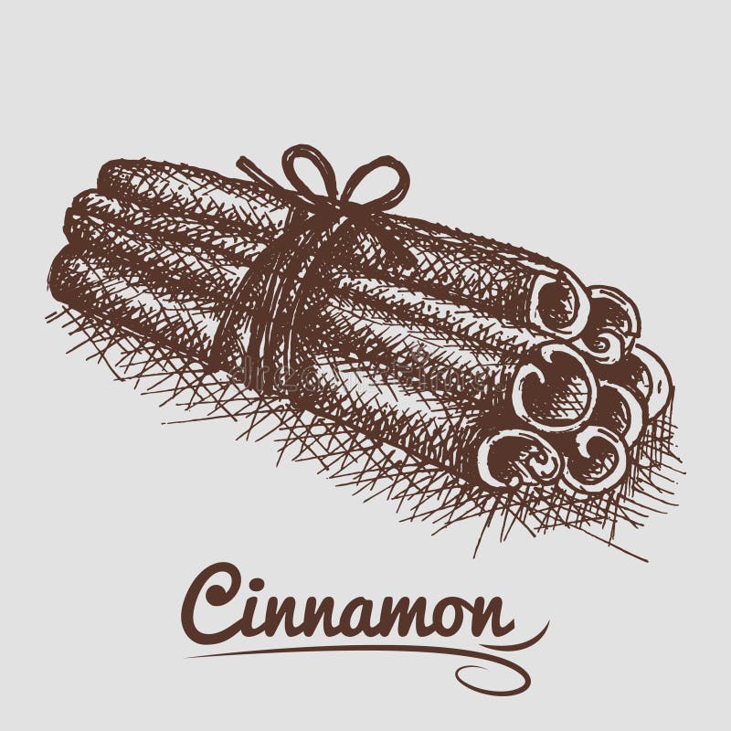 Cinnamon stock vector. Illustration of aroma, aromatic - 75209946