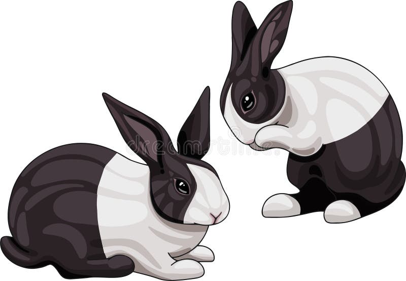 Dutch Rabbit Stock Illustrations – 154 Dutch Rabbit Stock Illustrations ...