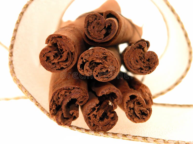Cinnamon in Ribbon stock photo. Image of tree, bitter, seasoning - 20352