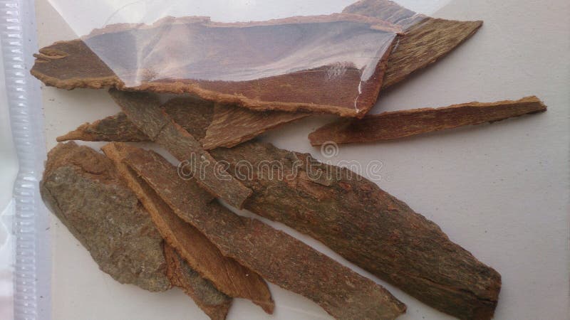 Cinnamon Spice in the Transparent Paking Stock Image - Image of ...
