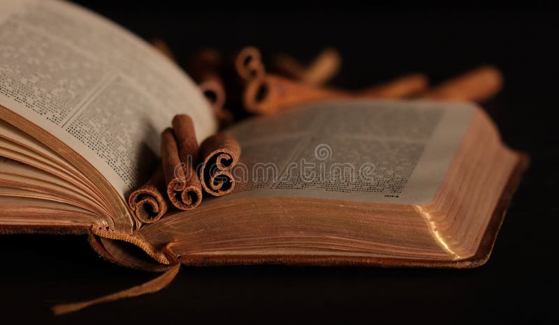 Still Life of Fruit in a Basket Stock Image - Image of eating, basket ...