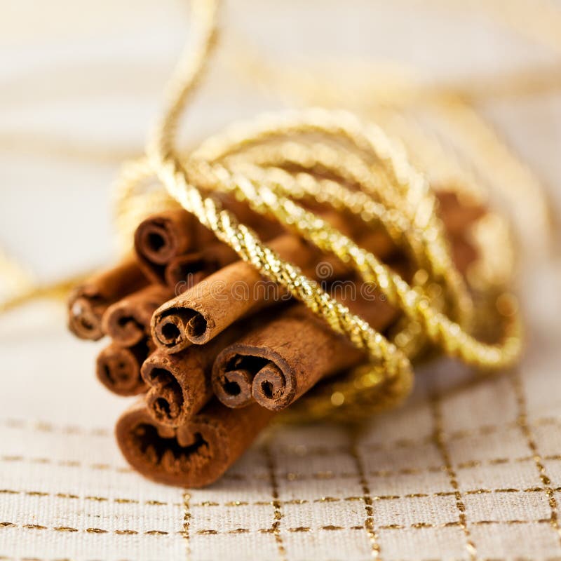 Cinnamon Sticks Tied with a Golden String Stock Photo - Image of tied ...