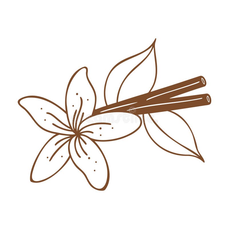 Cinnamon Outline Stock Illustrations – 4,346 Cinnamon Outline Stock ...