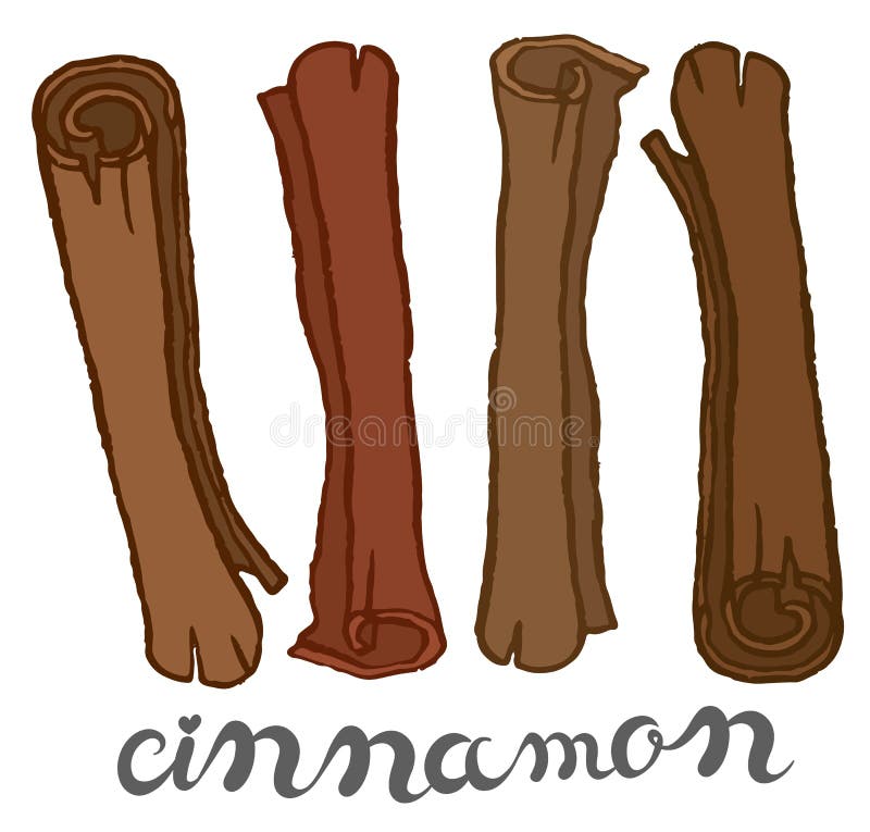 Cinnamon sticks stock vector. Illustration of delicious - 65294063