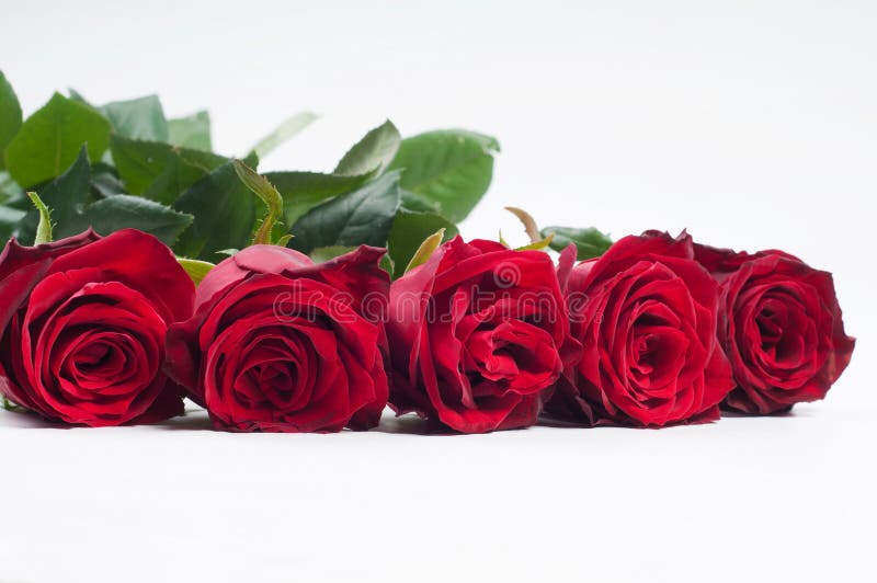 Cinq roses rouges image stock. Image du jour, bouquet - 36859731