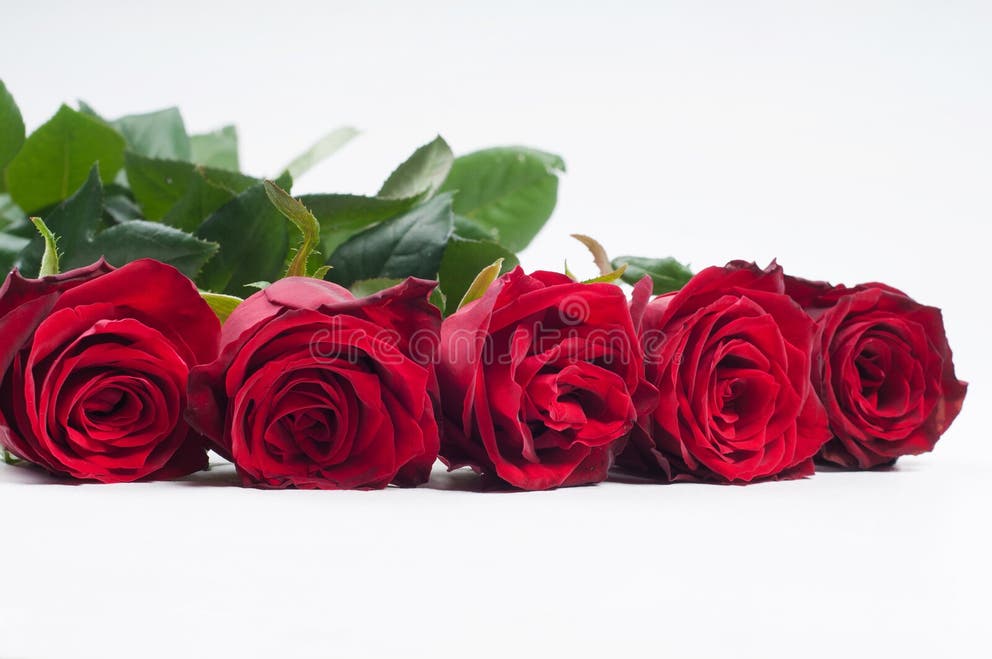 Cinq roses rouges image stock. Image du jour, bouquet - 36859731