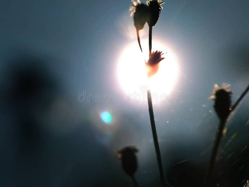 Menyakitkan Stock Photos - Free & Royalty-Free Stock Photos from Dreamstime