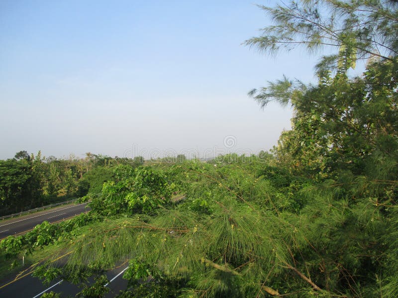 Protected Forest Next To the Toll Road Stock Image - Image of protected ...