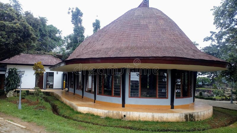 Cipari Stock Photos - Free & Royalty-Free Stock Photos from Dreamstime