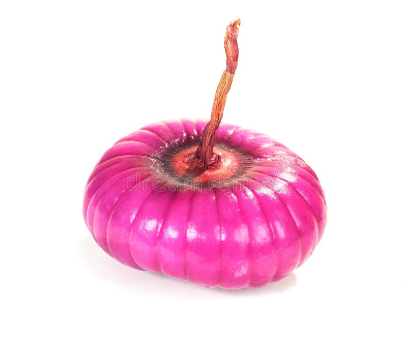 Cipolla immagine stock. Immagine di grezzo, condimento - 16775291