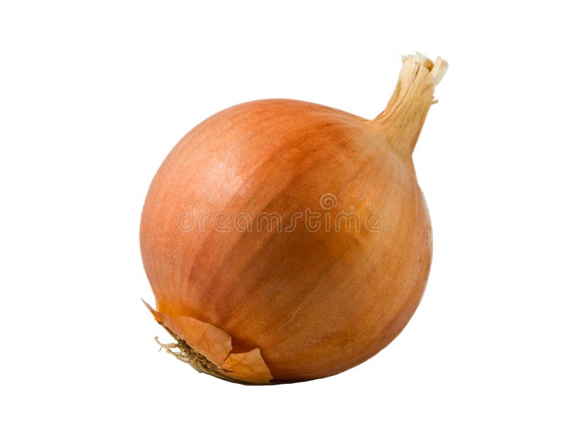 Cipolla bianca fotografia stock. Immagine di drogheria - 46405736