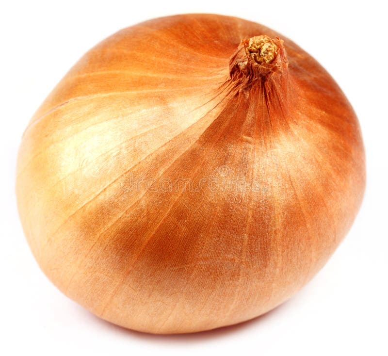Chiuda Su Di Una Pianta Di Cipolla Immagine Stock - Immagine di ...