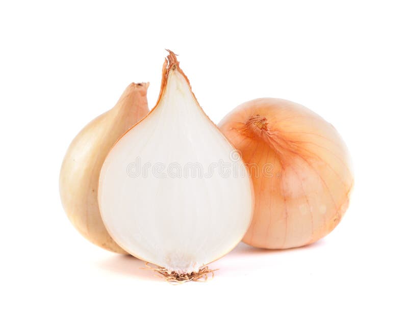 Cipolla fotografia stock. Immagine di organico, cipolla - 12532724