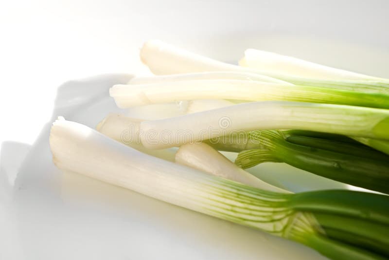 Cipolla fresca verde fotografia stock. Immagine di nessuno - 14249488