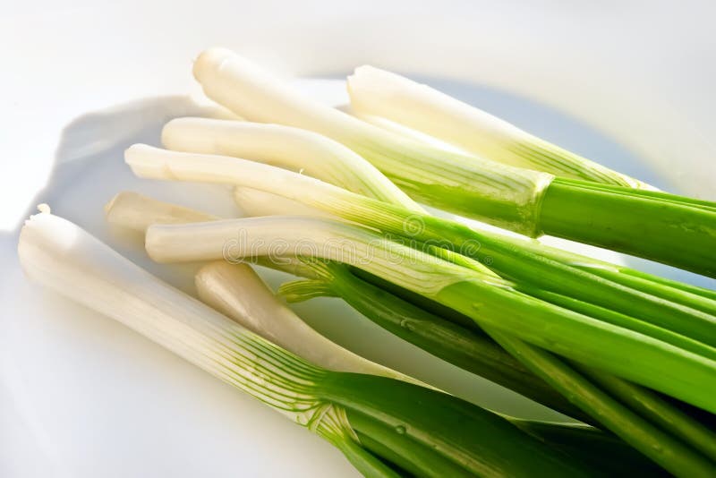Cipolla fresca verde fotografia stock. Immagine di nessuno - 14249488