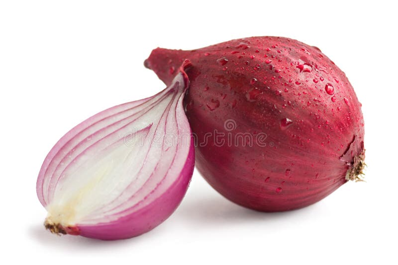 Cipolla rossa fotografia stock. Immagine di cottura, pianta - 11166536