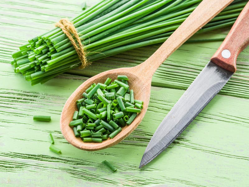 Cipolla verde fotografia stock. Immagine di maturo, condimento - 100259926