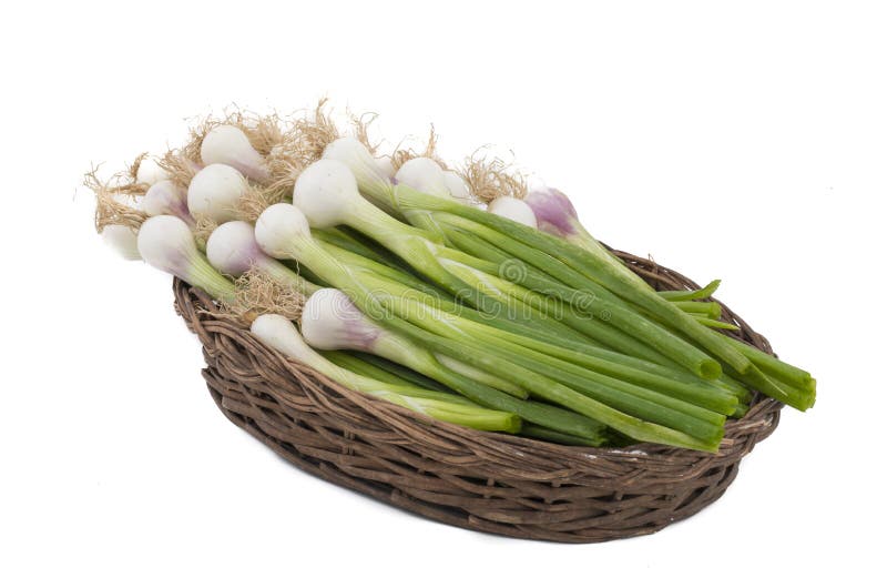 Cipolla verde fotografia stock. Immagine di pranzo, chiusura - 105743348