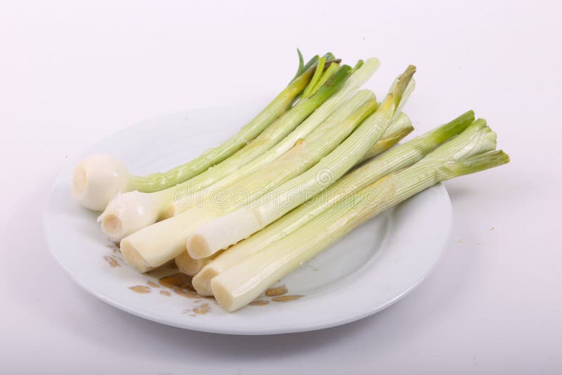 Cipolla verde immagine stock. Immagine di luce, parte - 118569319
