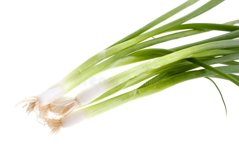 Scalogno immagine stock. Immagine di cipolla, verde, mercato - 4476437