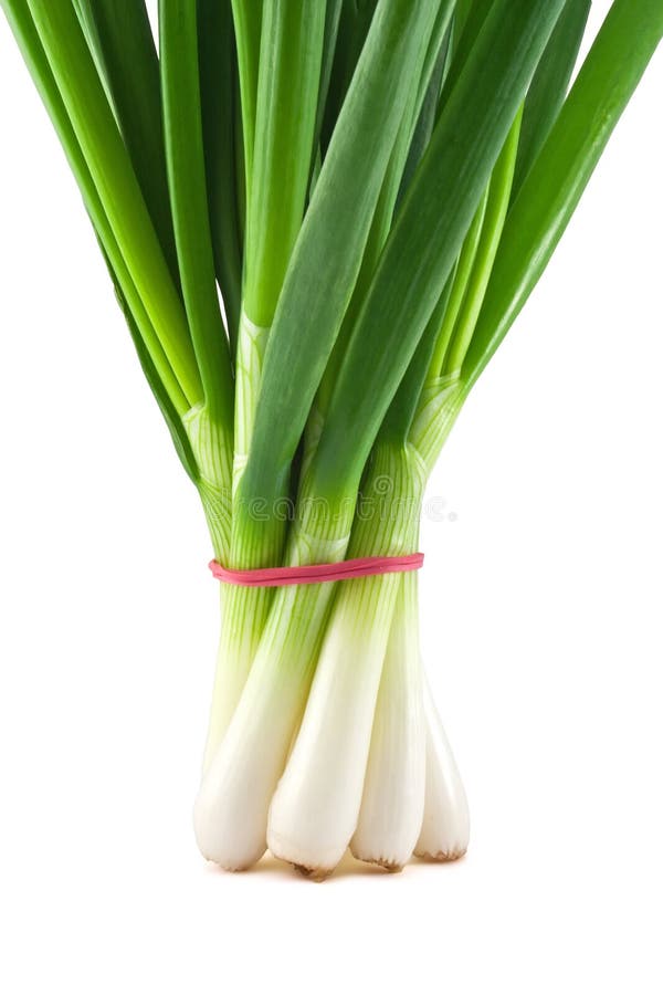 Cipolla verde fotografia stock. Immagine di alimento - 31607126