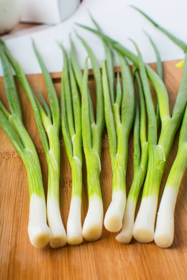 Cipolla Verde Della Primavera Fotografia Stock - Immagine di organico ...
