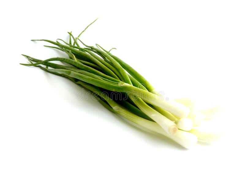 Cipolla Verde Fresca Isolata Sopra Bianco Immagine Stock - Immagine di ...
