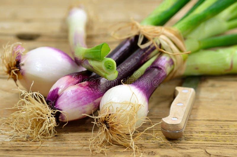Cipolle rosse fotografia stock. Immagine di agricoltura - 31537862