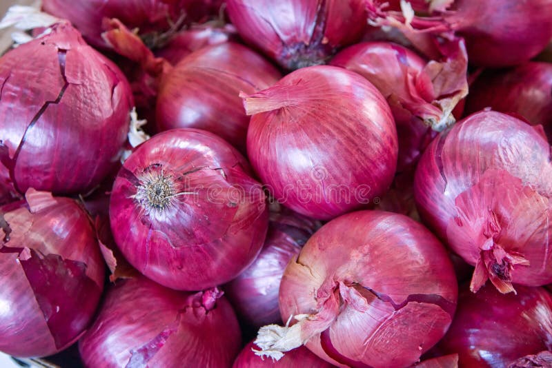 Cipolle rosse immagine stock. Immagine di verdure, fresco - 5219559