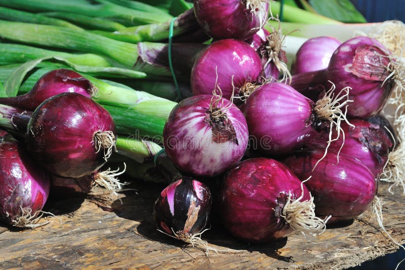 Cipolle rosse fotografia stock. Immagine di soleggiato - 7025256