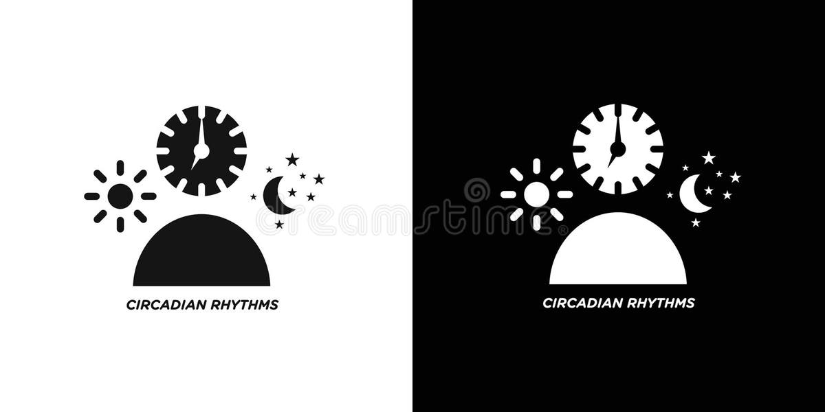 Circadian Rhythm Icon Stock Illustrations – 229 Circadian Rhythm Icon ...