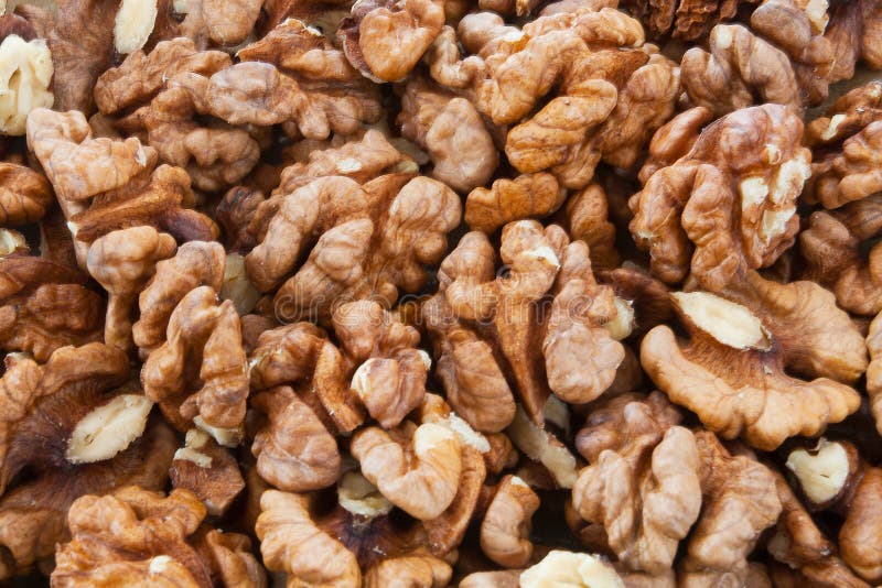 Circassian Walnut Picture. Image: 18022221