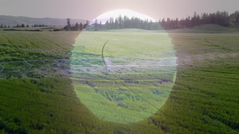 Circle Animation Over Green Fields and Distant Trees Under Clear Sky ...