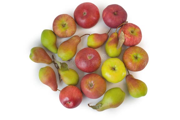 Circle of Apples and Pears Isolated on White Stock Image - Image of ...