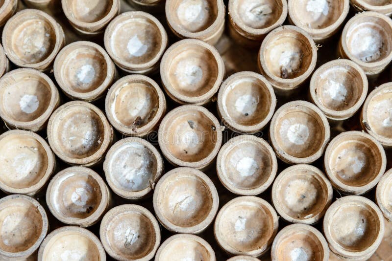 Circle of Bamboo Slice for Background Decorate Stock Image - Image of ...