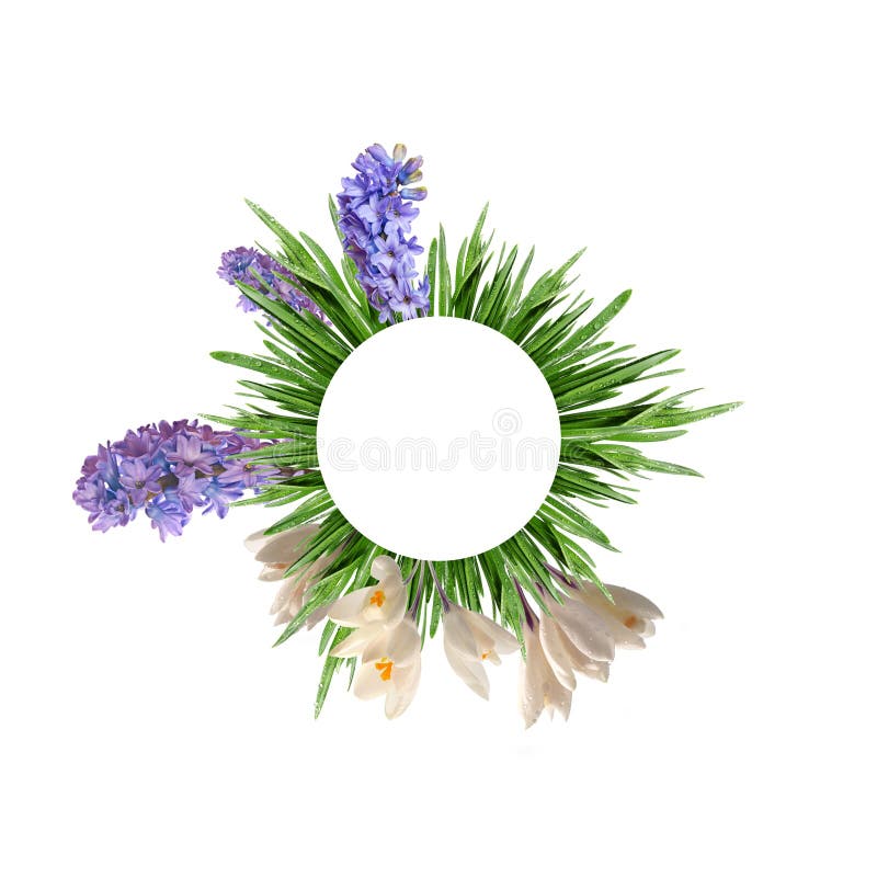 Circle Border from Grass and Spring Flowers Stock Photo - Image of ...