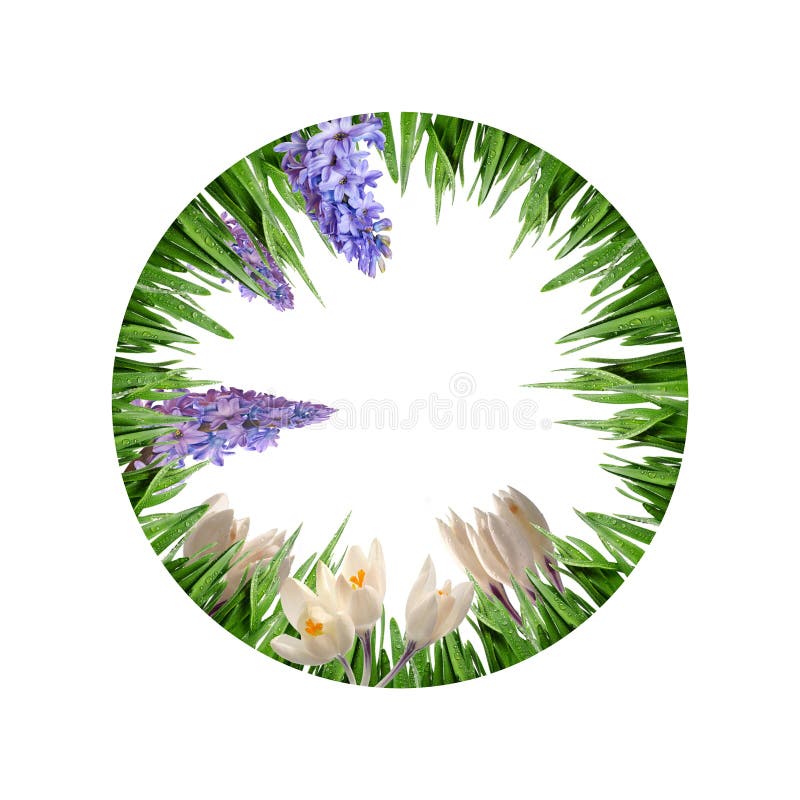 Circle Border from Grass and Spring Flowers Stock Photo - Image of ...
