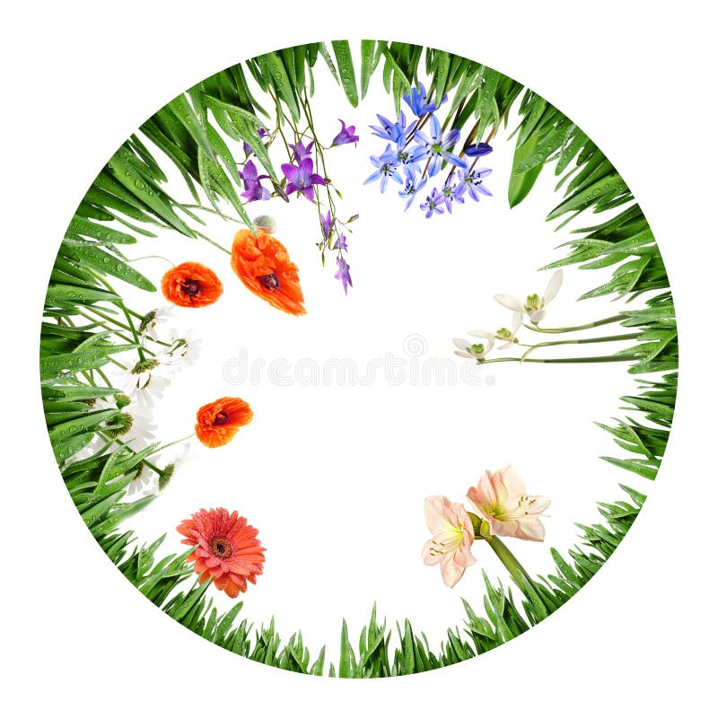 Circle Border from Grass and Spring Flowers Stock Illustration ...