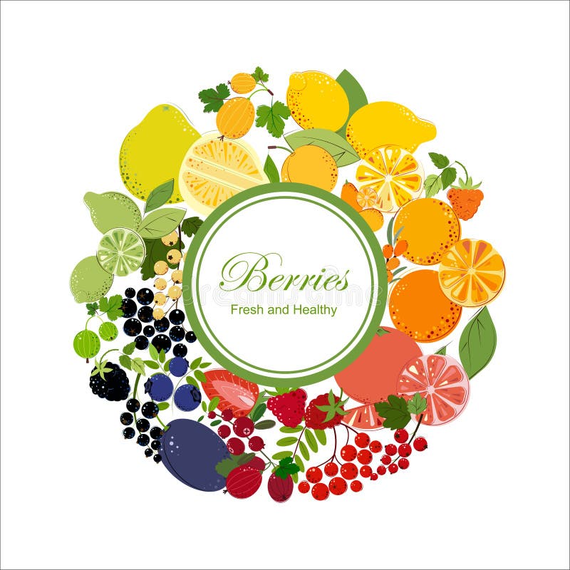 Circle of Colorful Berries and Fruits. Colorful Fruits and Berries ...