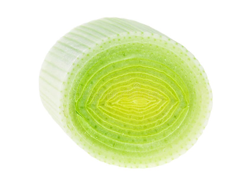 Succulent Cross Section Stem Stock Photos - Free & Royalty-Free Stock ...