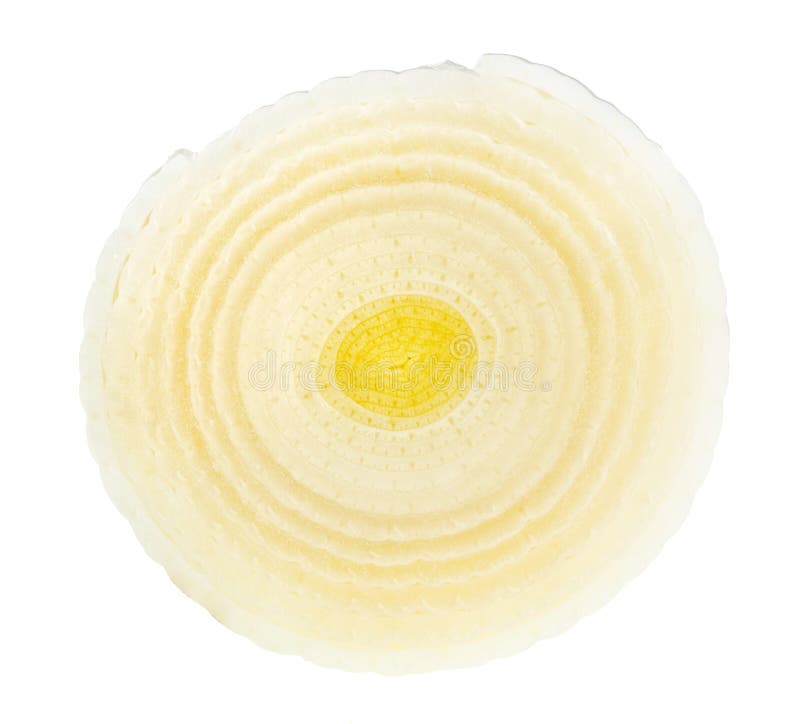 19,647 Vegetable Cross Section Stock Photos - Free & Royalty-Free Stock ...