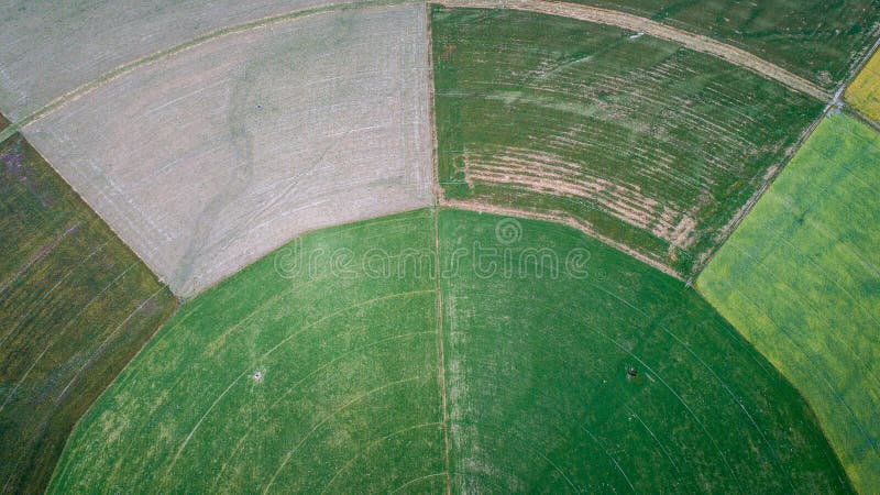 Circle Crop Fields Seen from Above Stock Image - Image of flora, zeland ...
