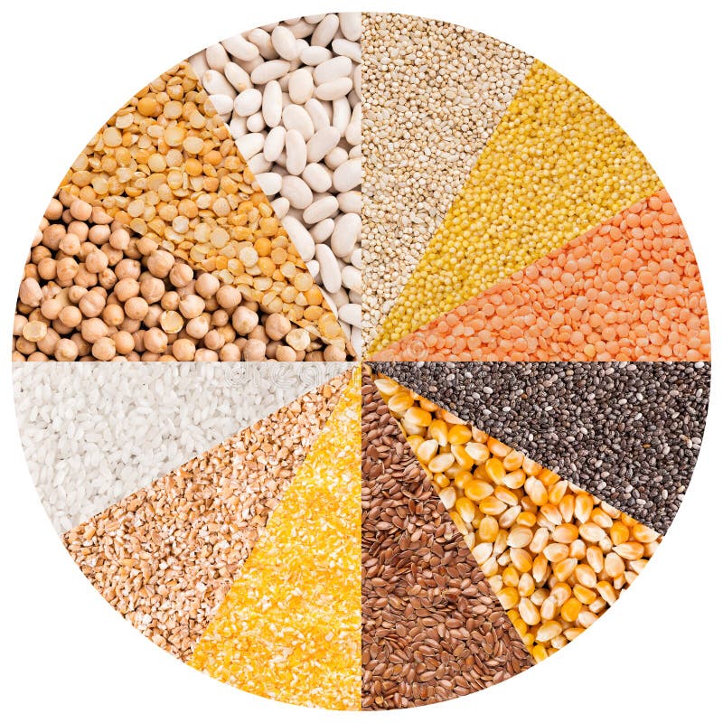 Circle with Different Types of Grains Isolated on White Stock Photo ...