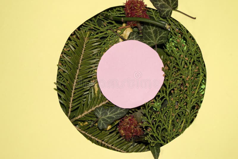 A Circle of Evergreen Leaves and Other Trees in it a Circle of Pink As ...
