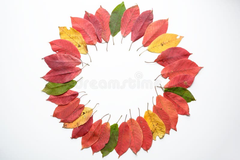 A Circle of Fallen Autumn Leaves. Stock Photo - Image of autumn ...