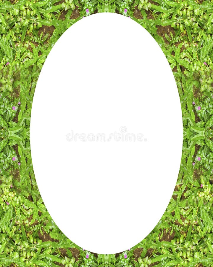 Circle Frame Background with Nature Borders Stock Image - Image of ...